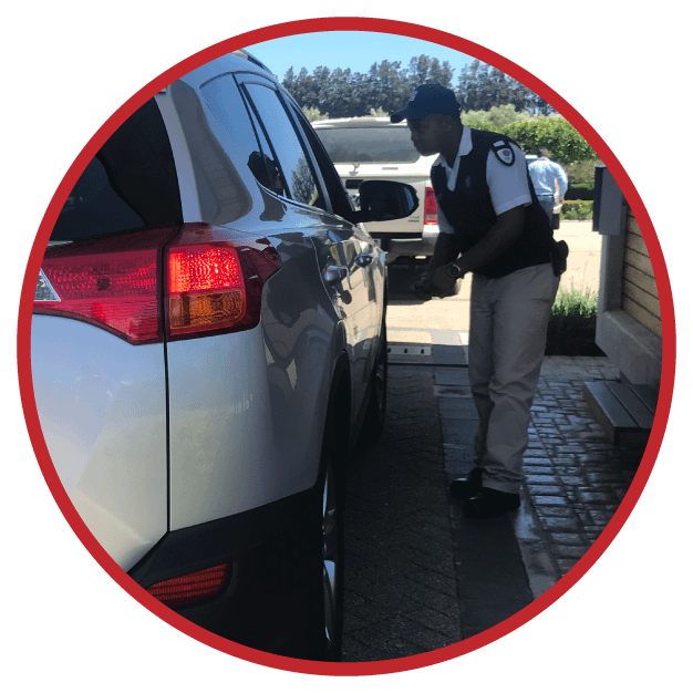 Services - TSU Protection Services