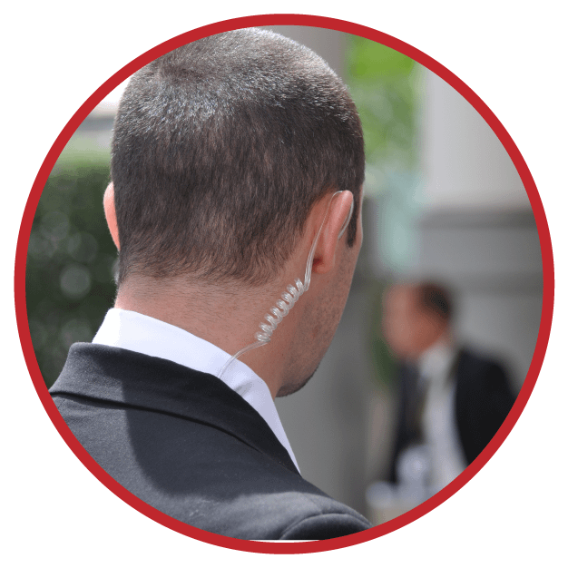 Services - TSU Protection Services