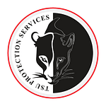 Executive Protection - TSU Protection Services